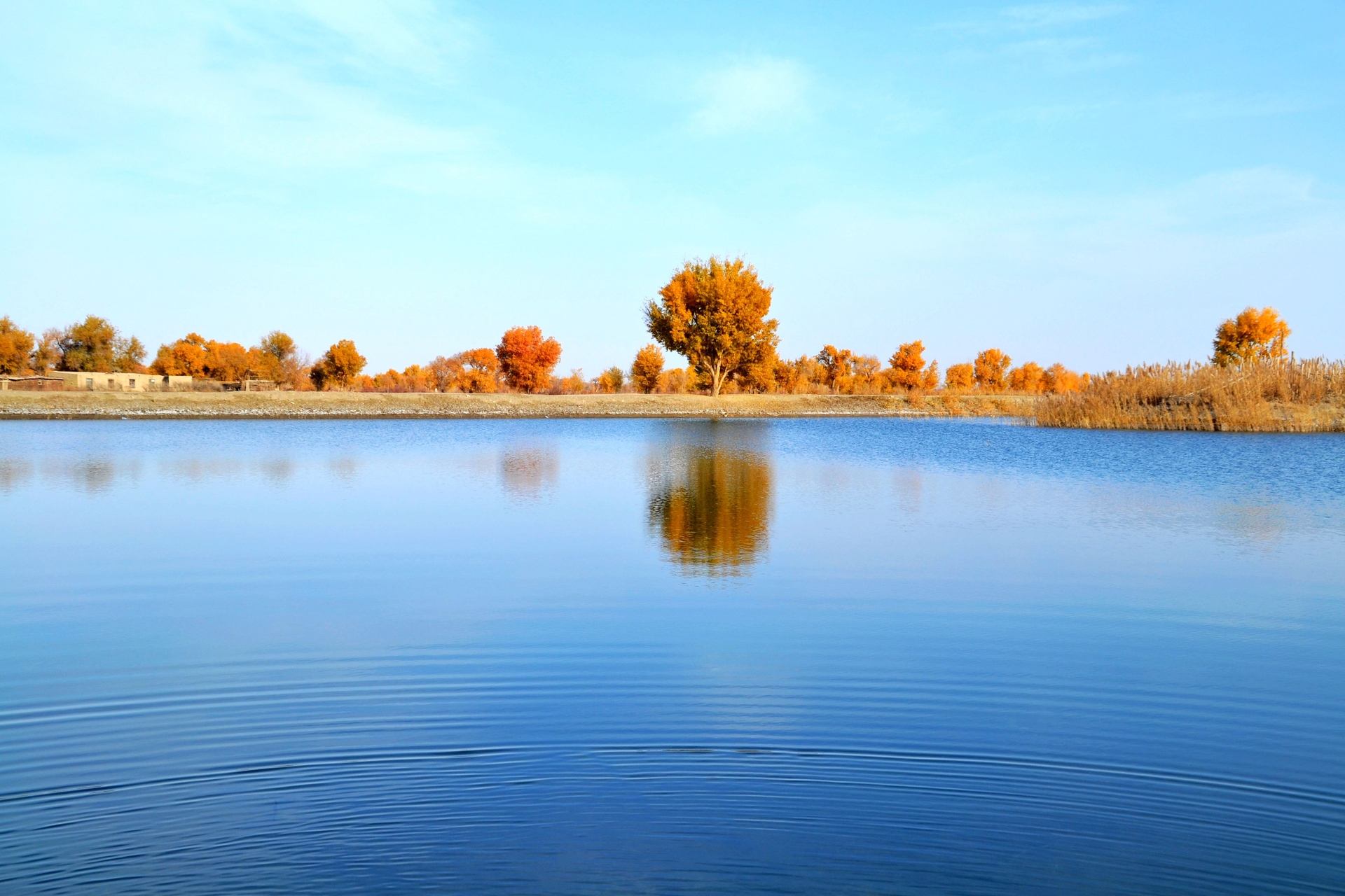 Das Tarimbecken | TB Online Nachrichte