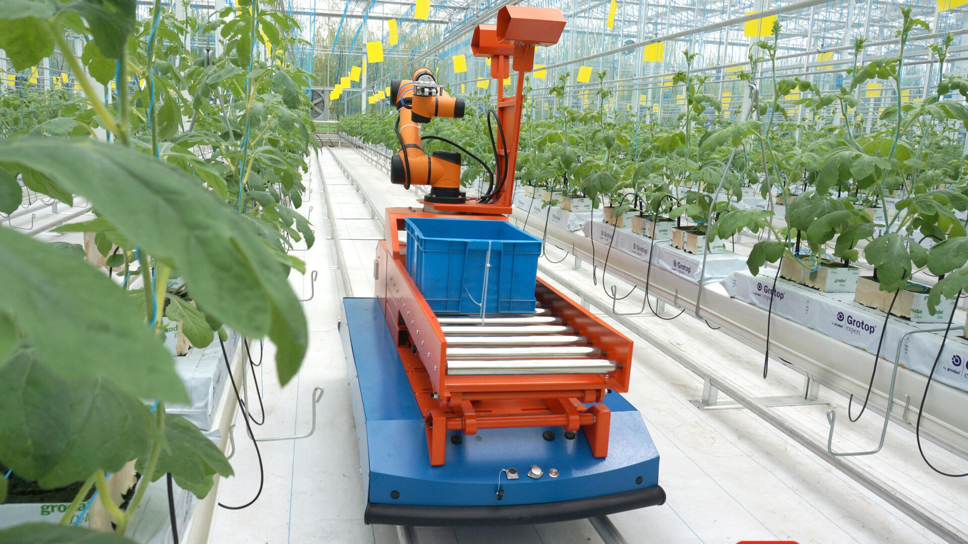 How AI Is Modernizing Chinese Agriculture | TB Online Nachrichte