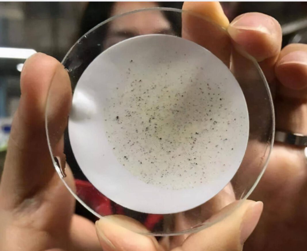 Microplastics in Human Placenta and Organs – A Growing Health Crisis ...